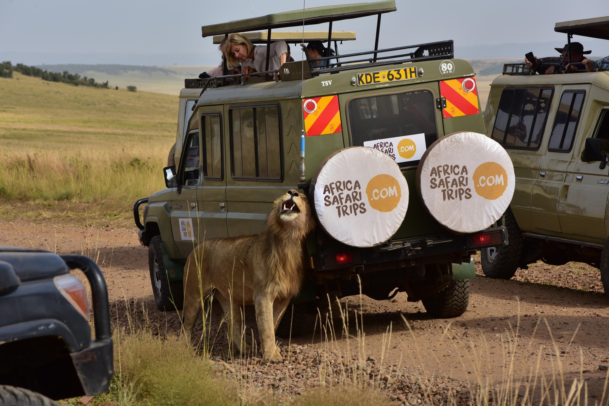 Schnorcheln am Cape Vidal - Afrika Safari Urlaub